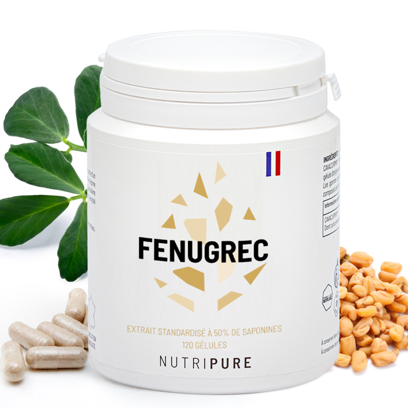 Bienfaits du fenugrec : musculation, glycémie et appétit