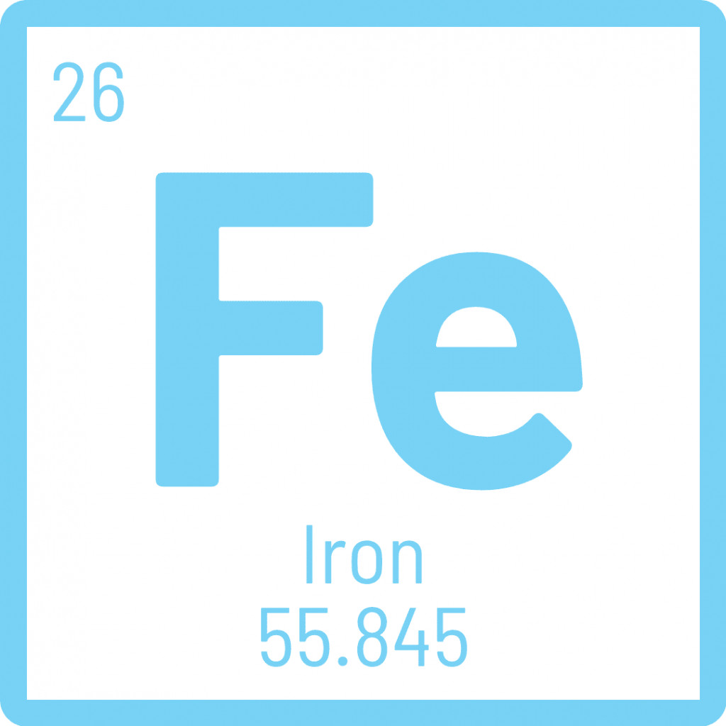 Fer : bienfaits, sources et carences à connaître