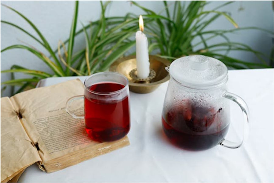 Bienfaits du rooibos : tout savoir sur cette tisane santé