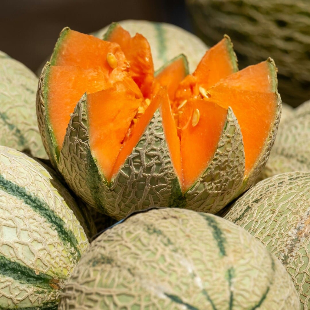 Melon : bienfaits, nutriments et hydratation santé d’été